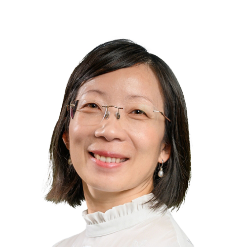 Prof Hongxia Wang - ICONN 2026