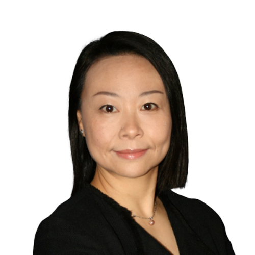 Prof Lan Fu - ICONN 2026